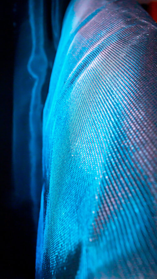 Productos » Polyrollos